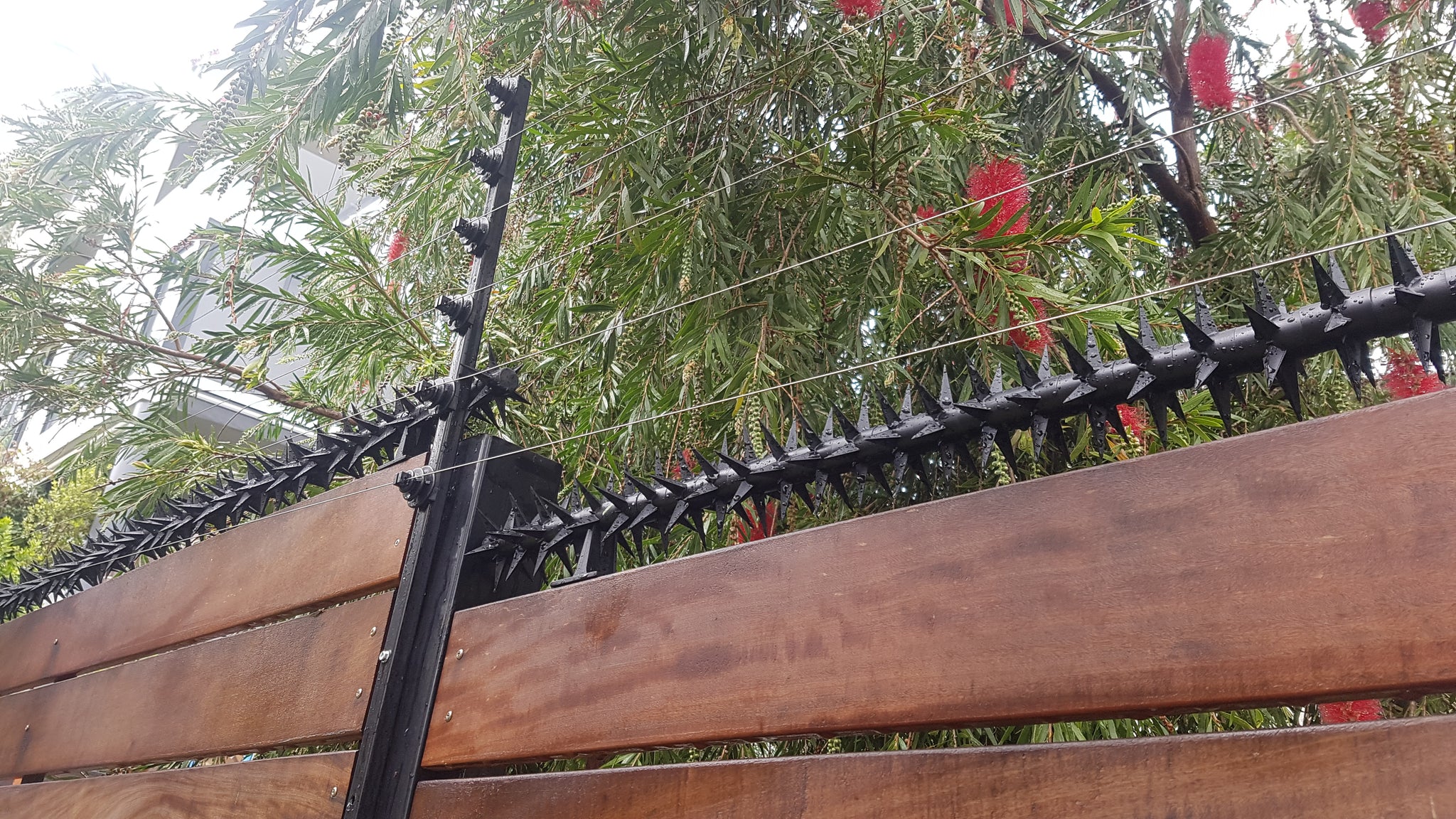 Single Row Rola Security Spikes - flat wall 5m kit – Rola-Spikes